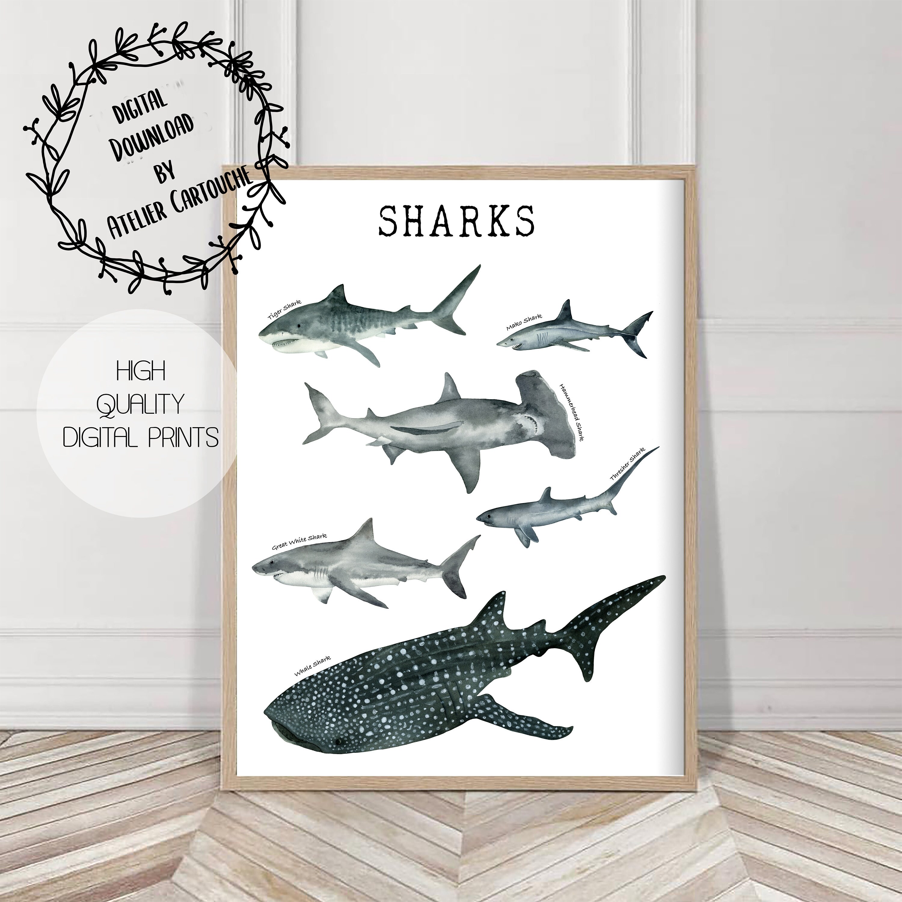 Shark Poster Educational Print Watercolor Illustration - Etsy Canada