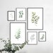 Set of 6 Green Botanical Prints, Green Branches and Leaves, Botany Art ...