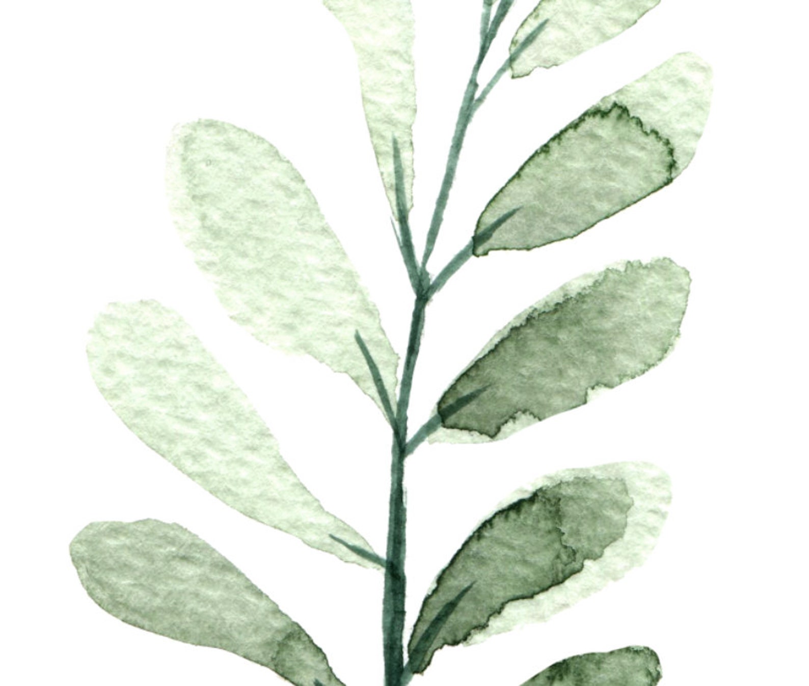 Set of 6 Green Botanical Prints, Green Branches and Leaves, Botany Art ...