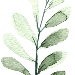 Set of 6 Green Botanical Prints, Green Branches and Leaves, Botany Art ...