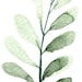 Set of 6 Green Botanical Prints, Green Branches and Leaves, Botany Art ...