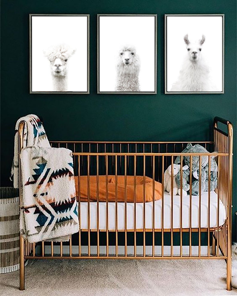 Set of 3 White Lama Alpaca Print Nursery Animal Decor Wall - Etsy