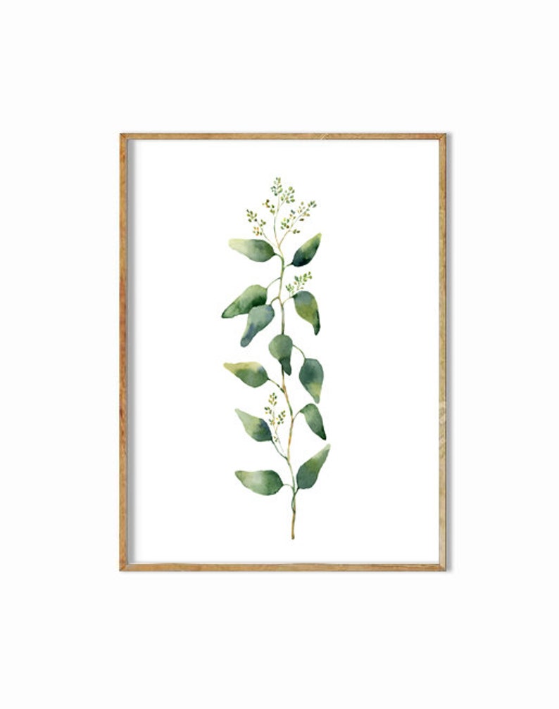 3 Eucalyptus print Australian decor Botanical decor | Etsy