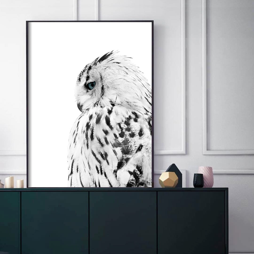 White Owl Print Digital Prints Blue Eye Owl Animal Wall - Etsy Canada