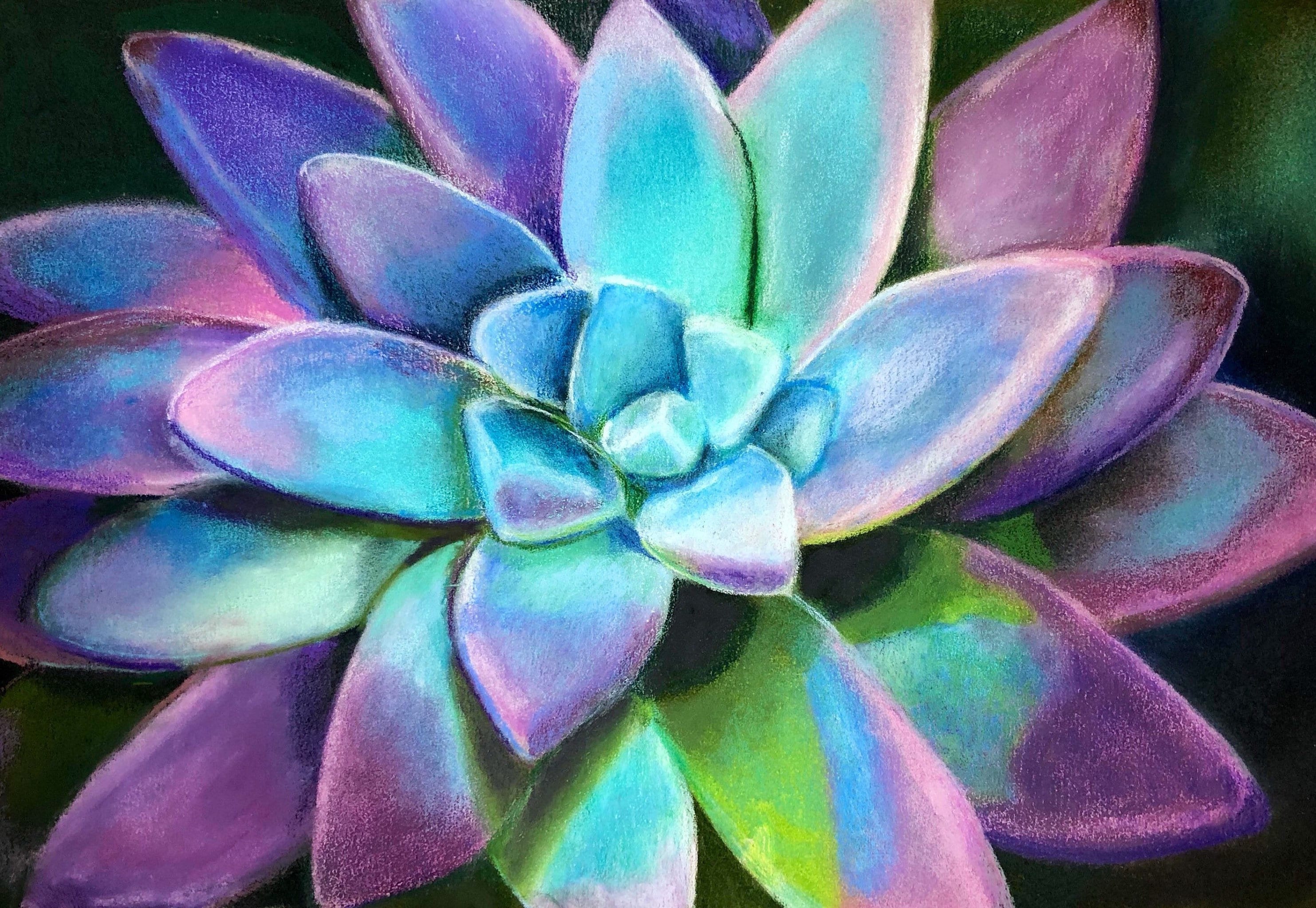 Colorful Succulent Art Print - Etsy.de