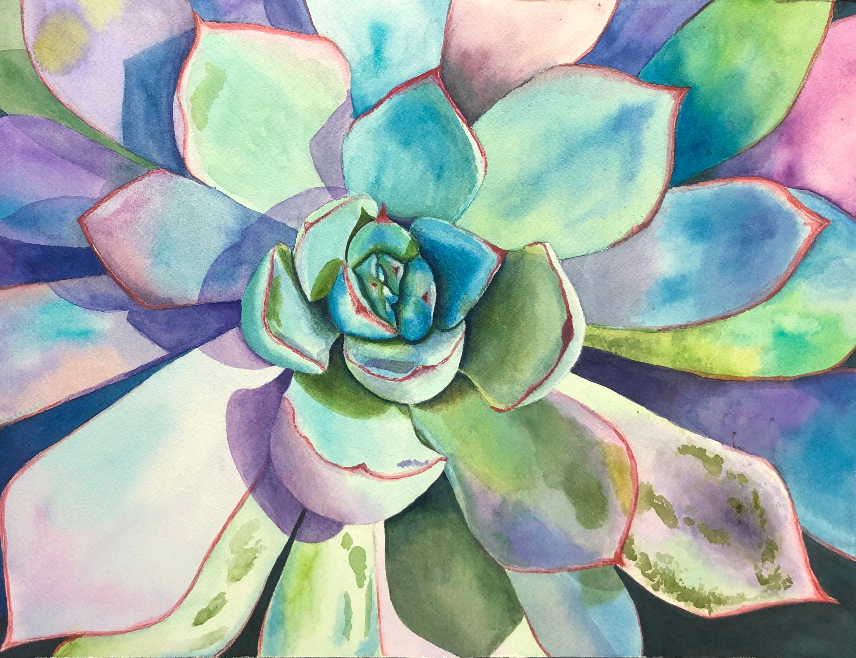 Watercolor Succulent - Etsy