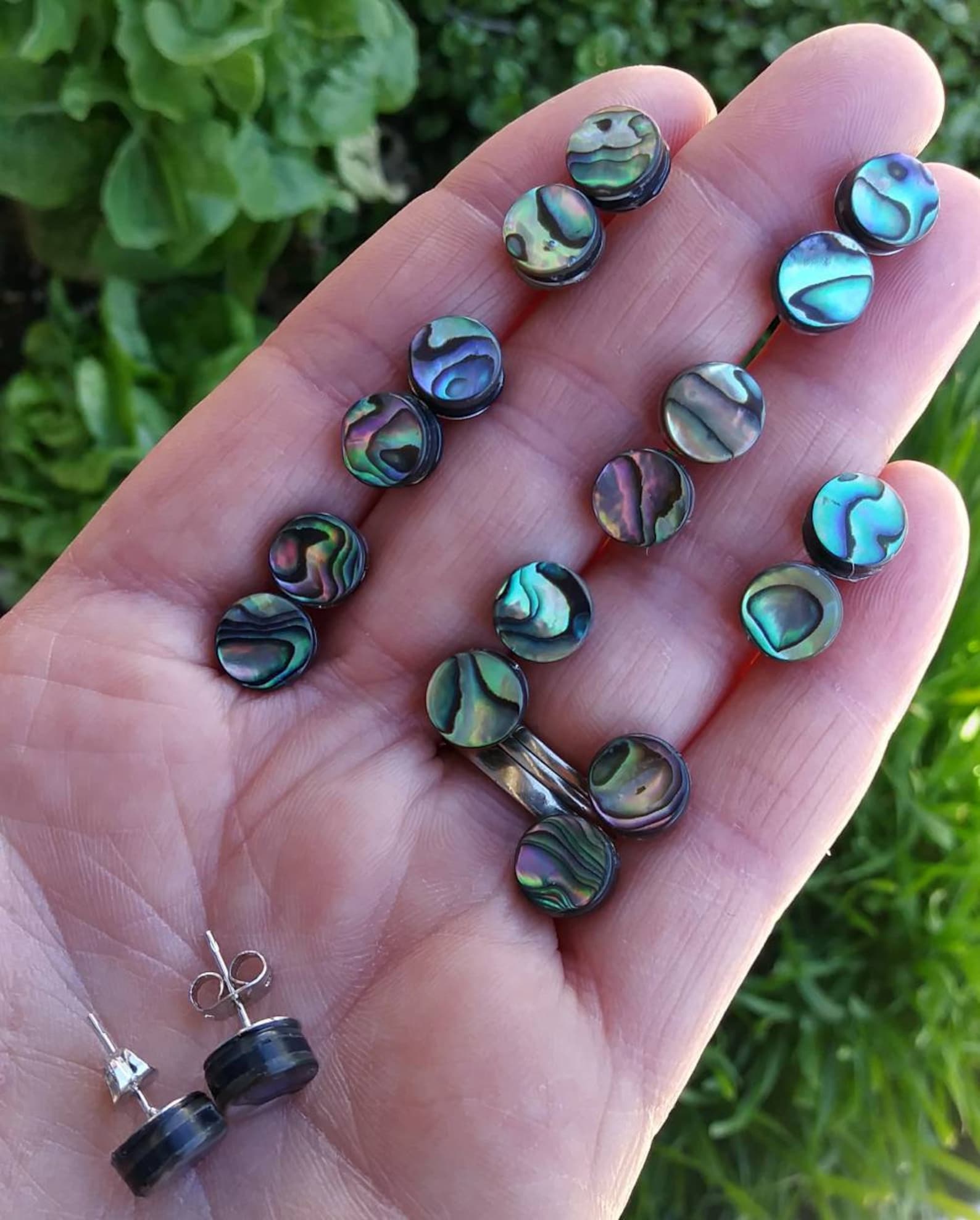 Abalone Shell Stud Earrings 8mm Dainty Beachy Earrings Paua - Etsy