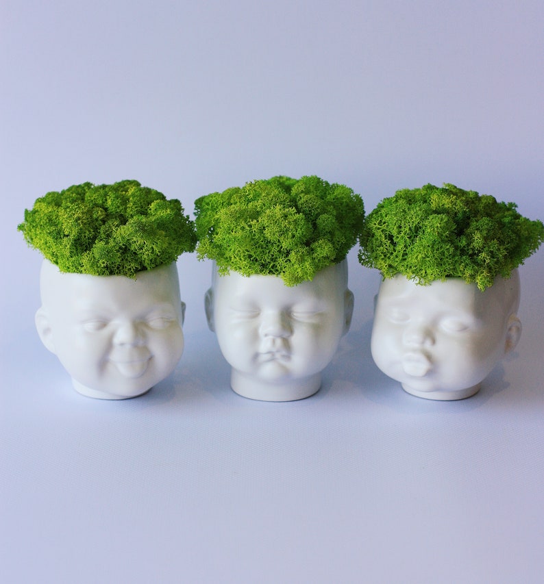 Cute Planter Face Plant Pot Plant Pot Doll Head Planter - Etsy