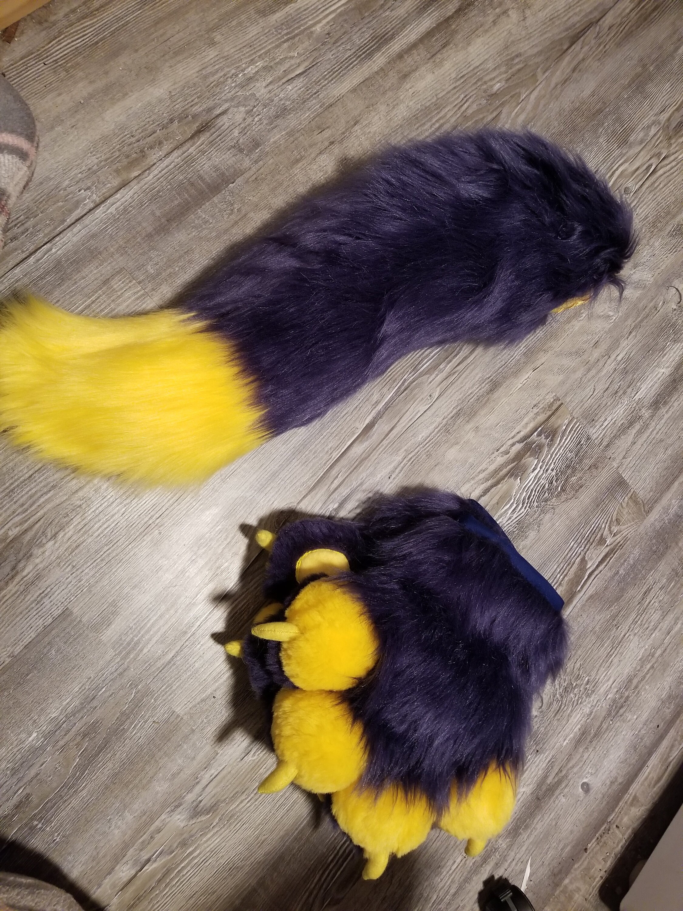 Navy and Gold Paw and Tail Set - Etsy