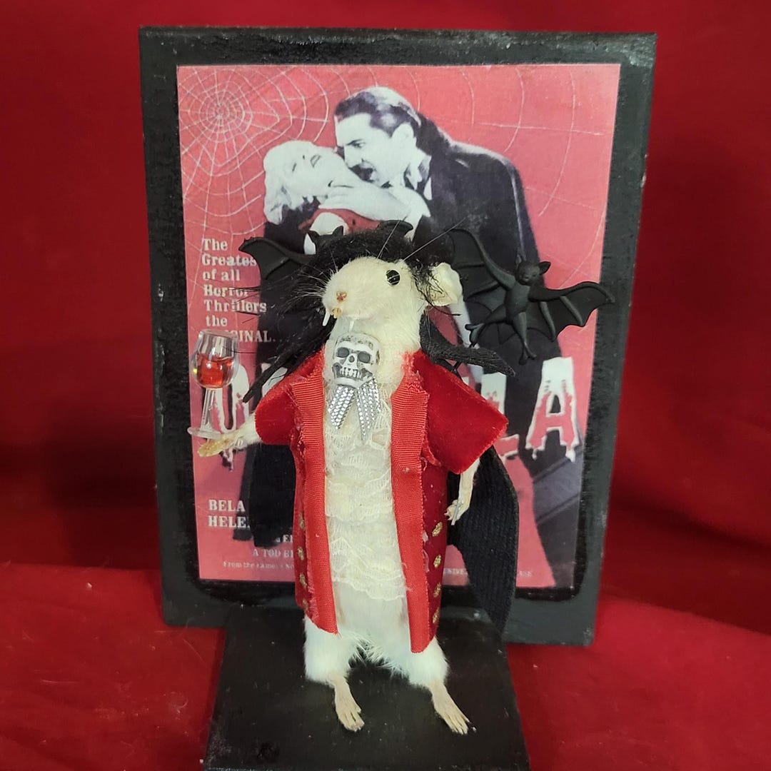 Mouse Taxidermy Art Vampire Bat Dracula ~ Coffin Cute Anthropomorphic ...
