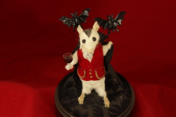 Mouse Taxidermy Art Vampire Bat Dracula With Dome Coffin | Etsy