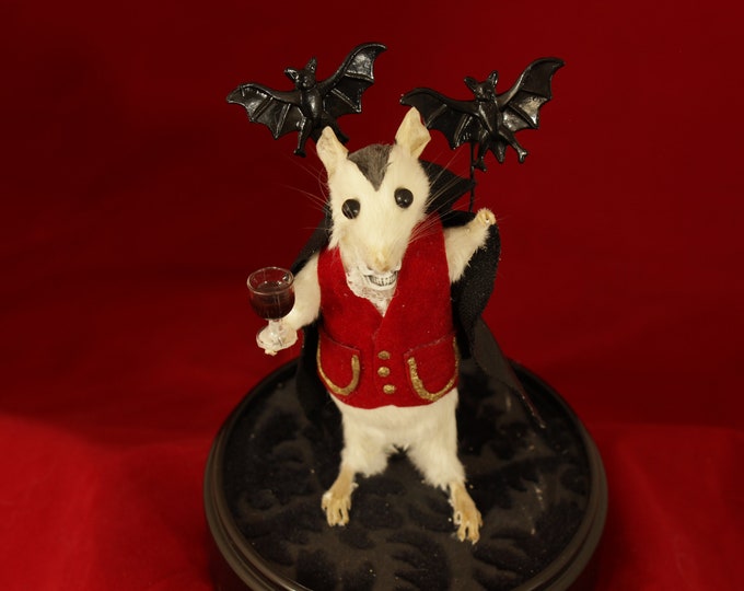 Mouse Taxidermy Art Vampire Bat Dracula With Dome Coffin Cute ...