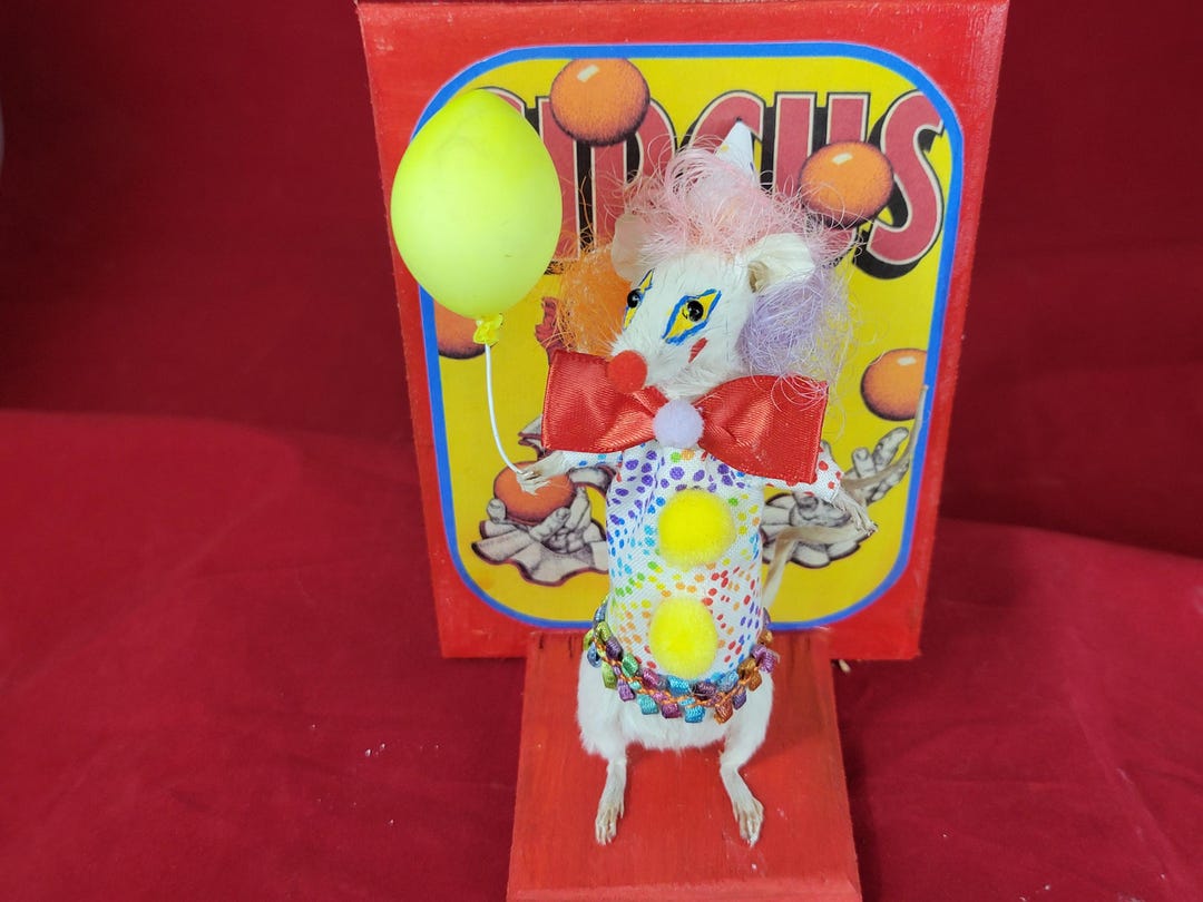 Mouse Taxidermy Art Clown ~ Cute Anthropomorphic Circus Carnival Funny ...