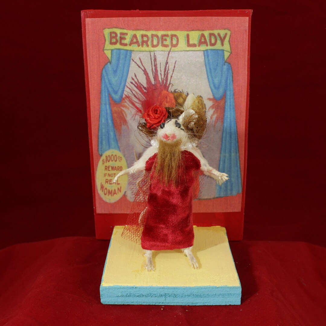 Mouse Taxidermy Art Bearded Lady Circus Sideshow Performer Wall Mount ...