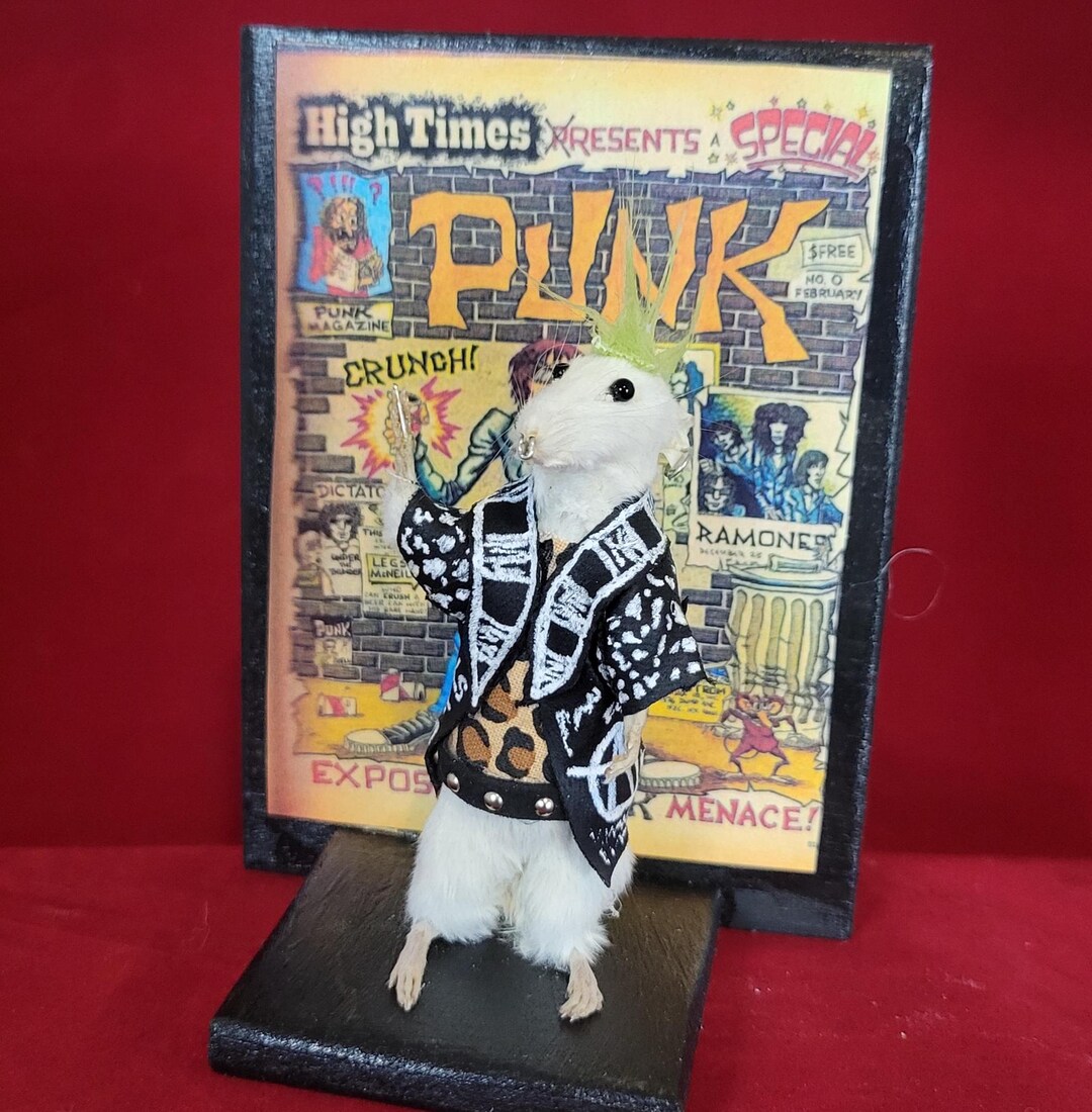 Mouse Taxidermy Art Punk Rocker Cute Anthropomorphic Freak Oddity ...