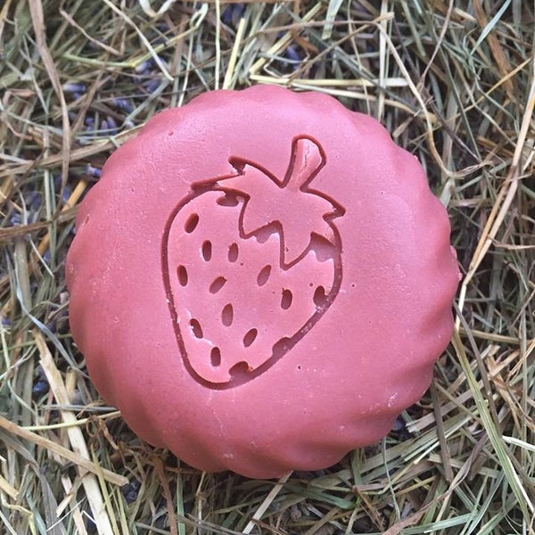 Strawberry Stamp - Etsy