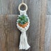 Macramé Single Pot Hanger in Natural - Etsy UK
