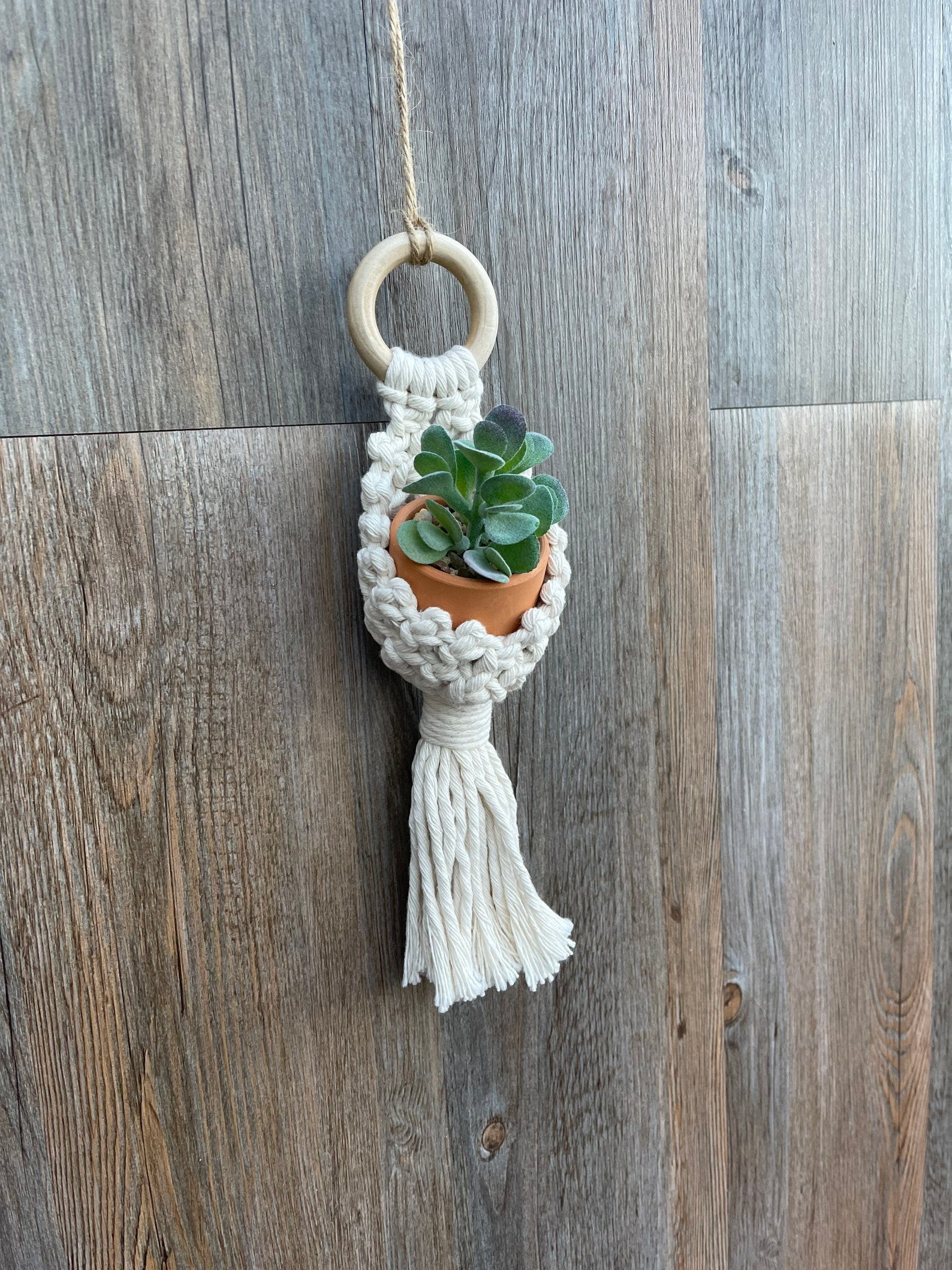 Macramé Single Pot Hanger in Natural - Etsy UK
