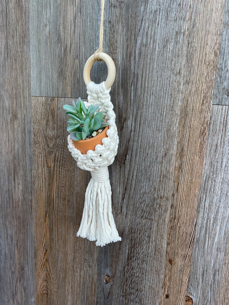 Macramé Single Pot Hanger in Natural - Etsy UK