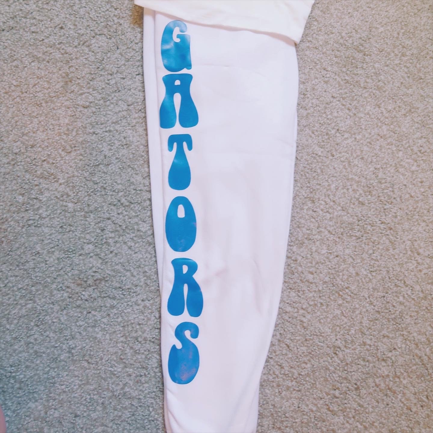 Custom College Sweatpants Any School Any color uf fsu | Etsy