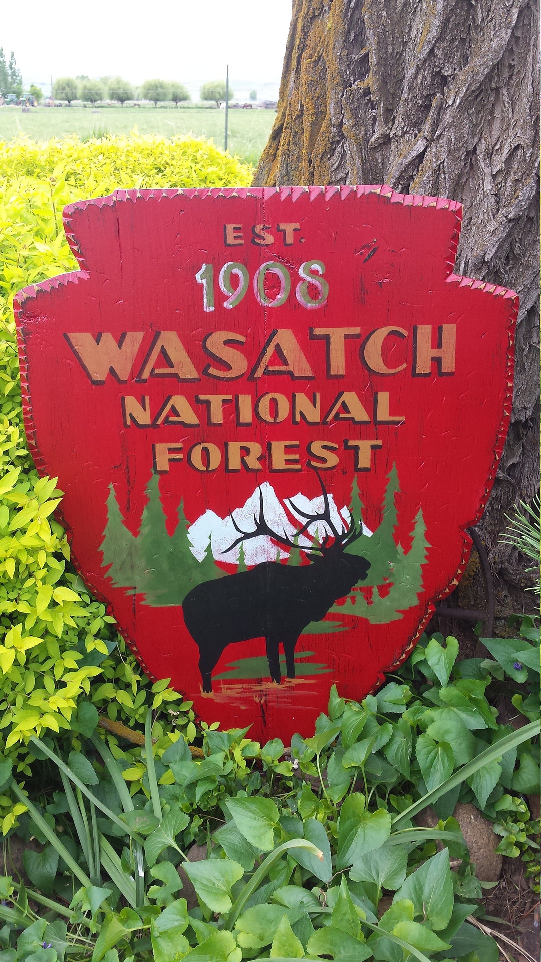 Wasatch National Forest Park Shield - Etsy