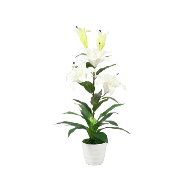 Silk Lily - Etsy