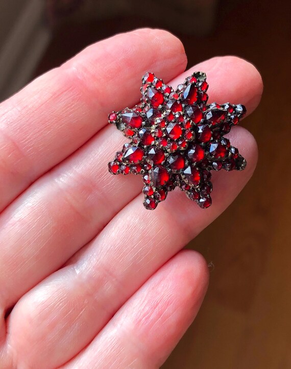 Antique Victorian BELLE ÉPOQUE Bohemian Garnet Brooch - Gem