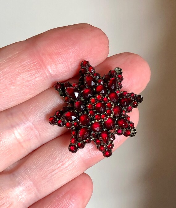 Antique Victorian BELLE ÉPOQUE Bohemian Garnet Brooch - Gem