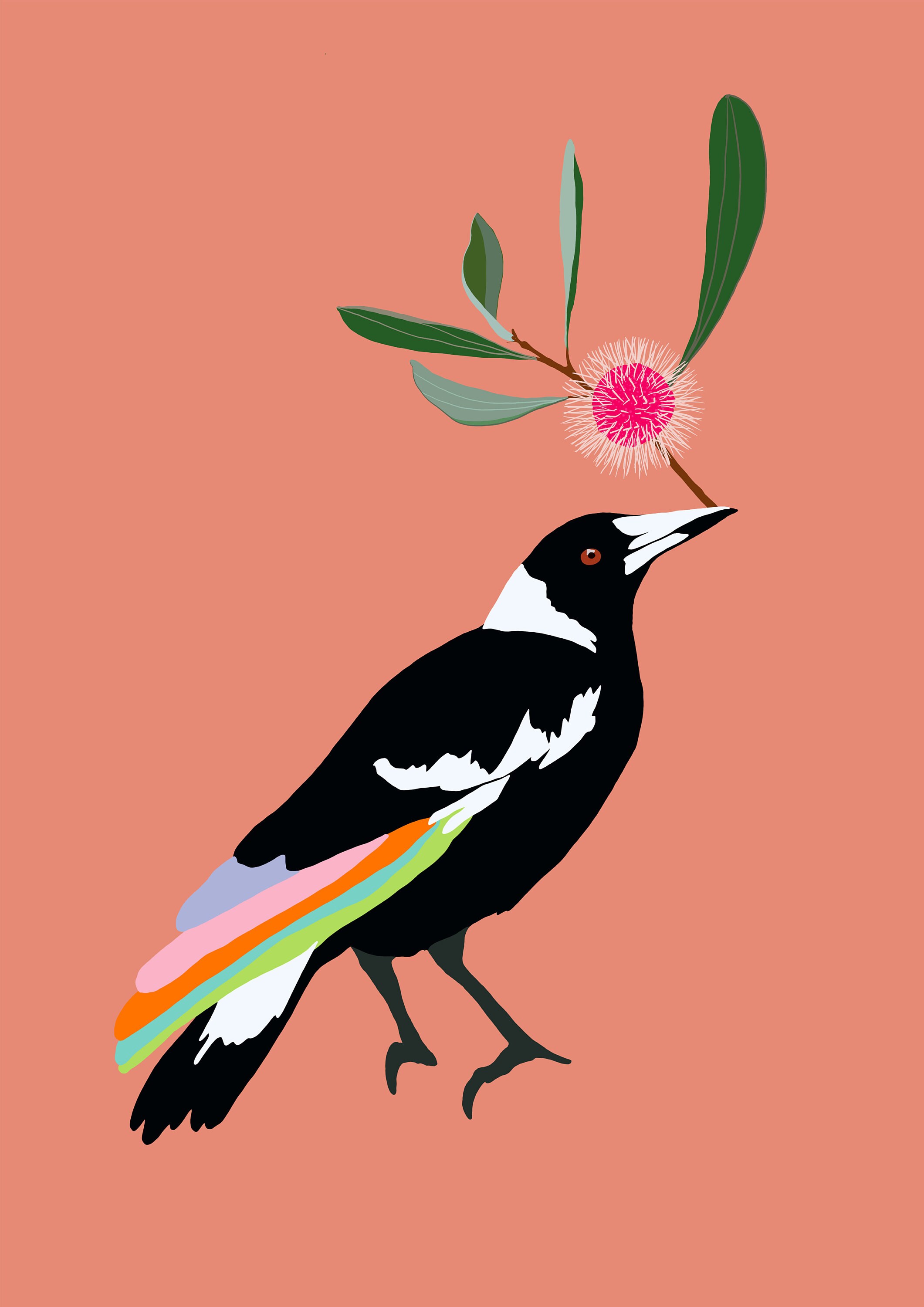 Magpie Digital Art Print, Giclee, Australiana, Vintage Tin, Australian ...
