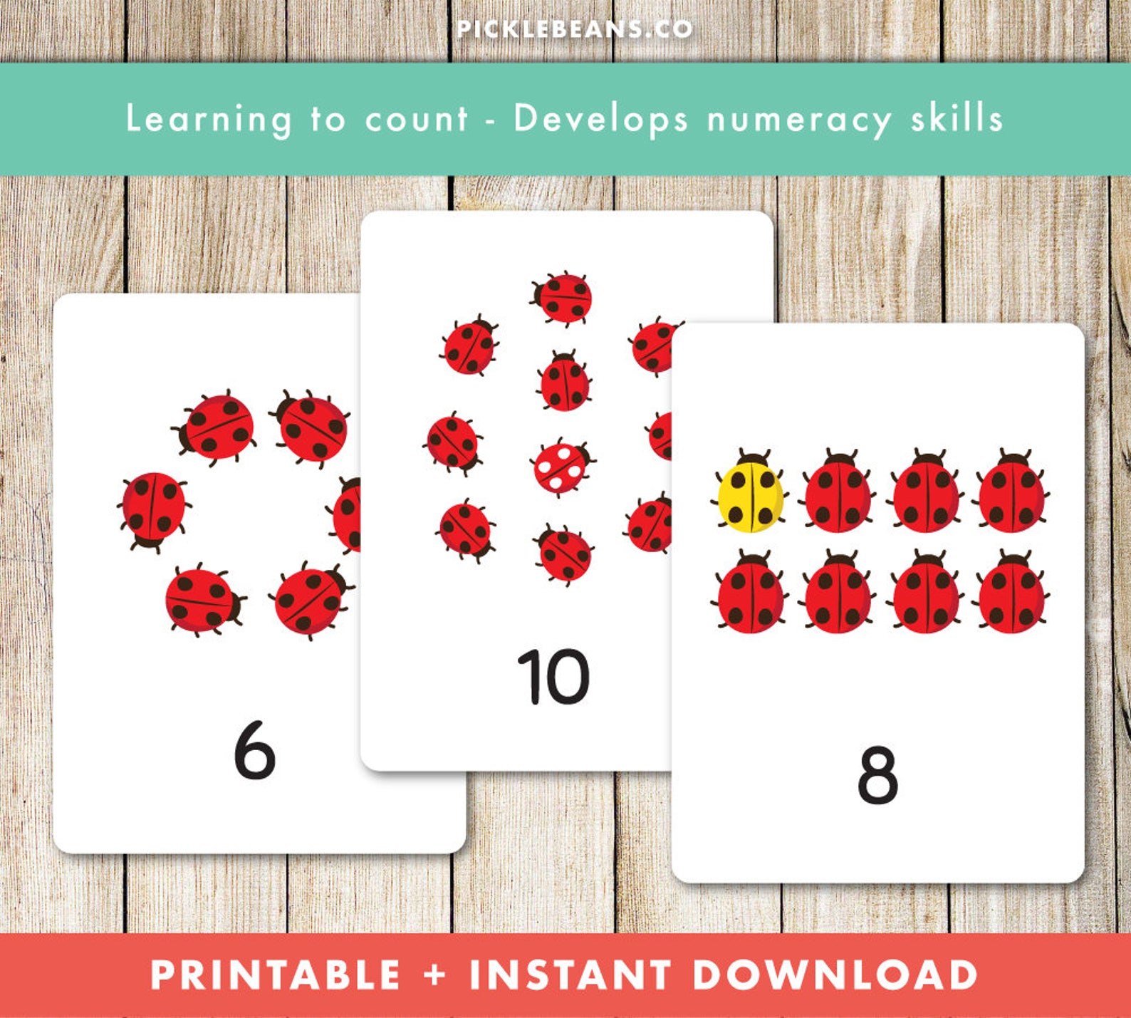 Ladybug Counting Flash Cards – Printable Numeracy Learning (instant ...