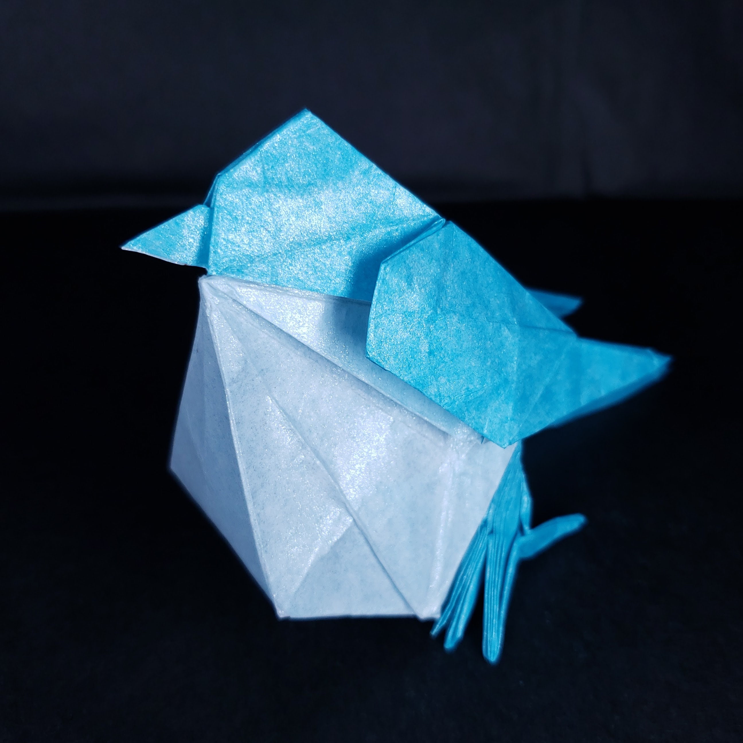 Origami Paper Sample Pack - 12 Types of Paper in Assorted Colors - Etsy