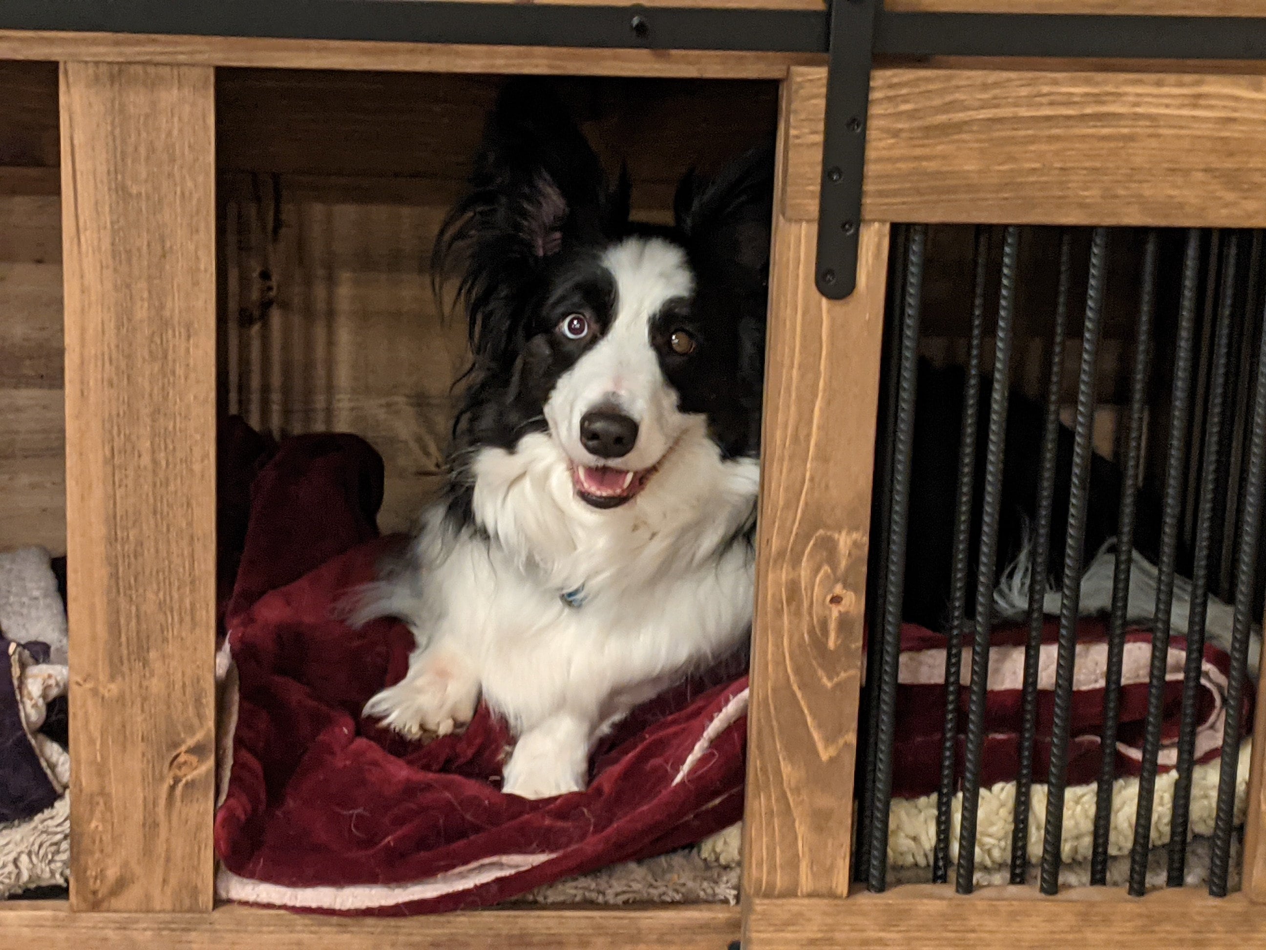 Medium Single Door Kennel handmade wooden dog crate end table | Etsy