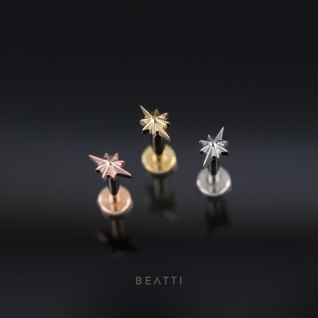 NEW ‣ Ultra Tiny North Star Threadless Stud • Verified Titanium Flat ...