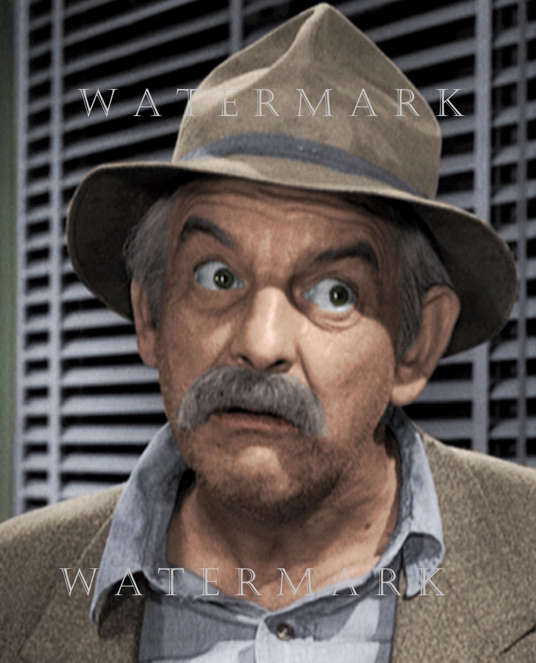 The Andy Griffith Show Custom 8x10 COLORIZED Photo - Briscoe Darling ...