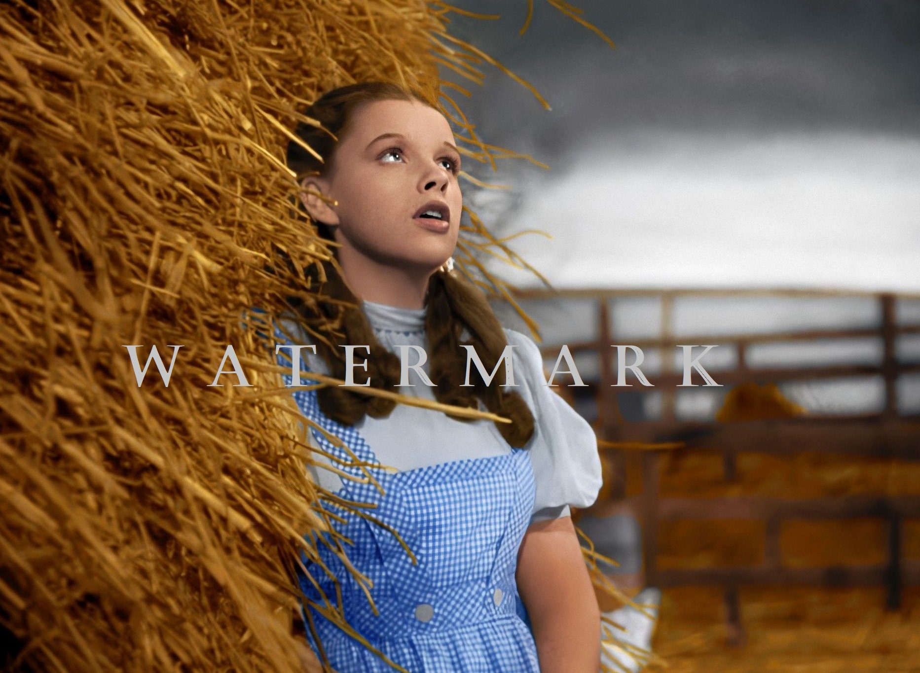 Custom DIGITAL DOWNLOAD Colorized Digital Photo Painting of Judy ...