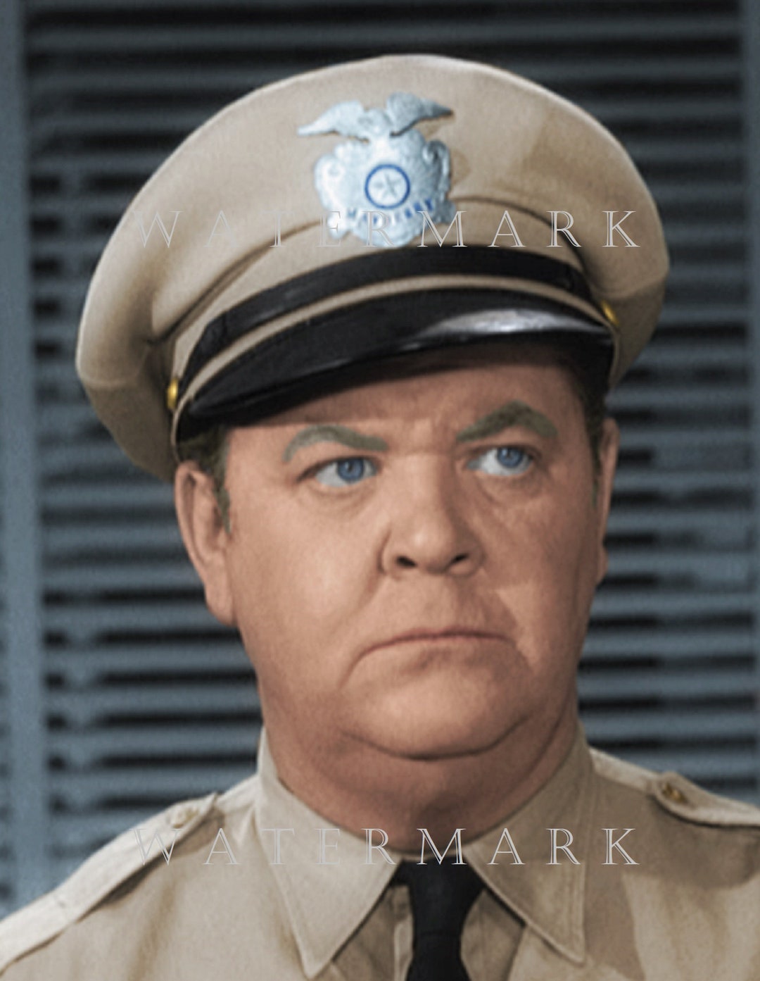 The Andy Griffith Show Custom 8x10 COLORIZED Photo - Otis Campbell ...