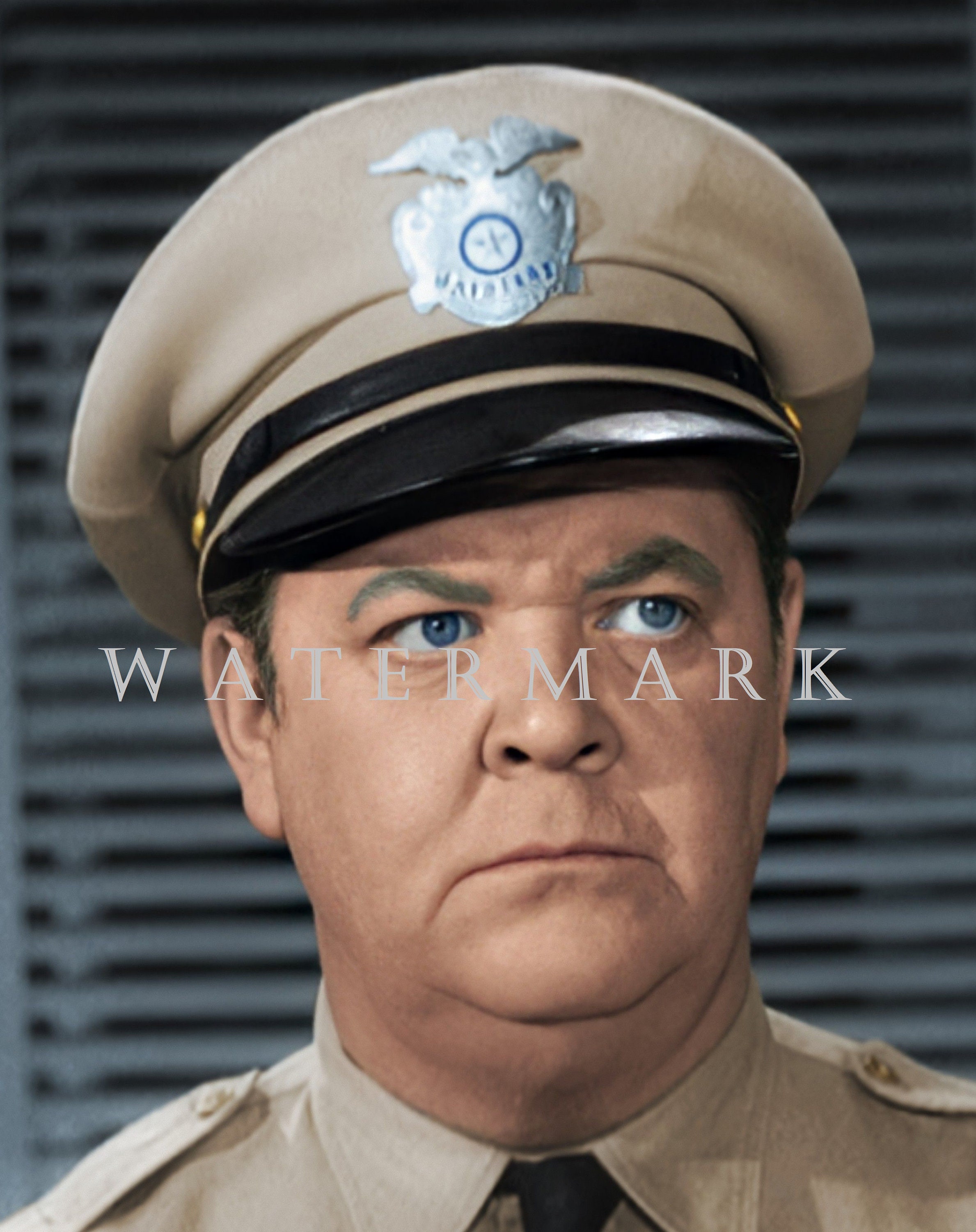 The Andy Griffith Show DIGITAL DOWNLOAD Custom COLORIZED Digital Photo ...