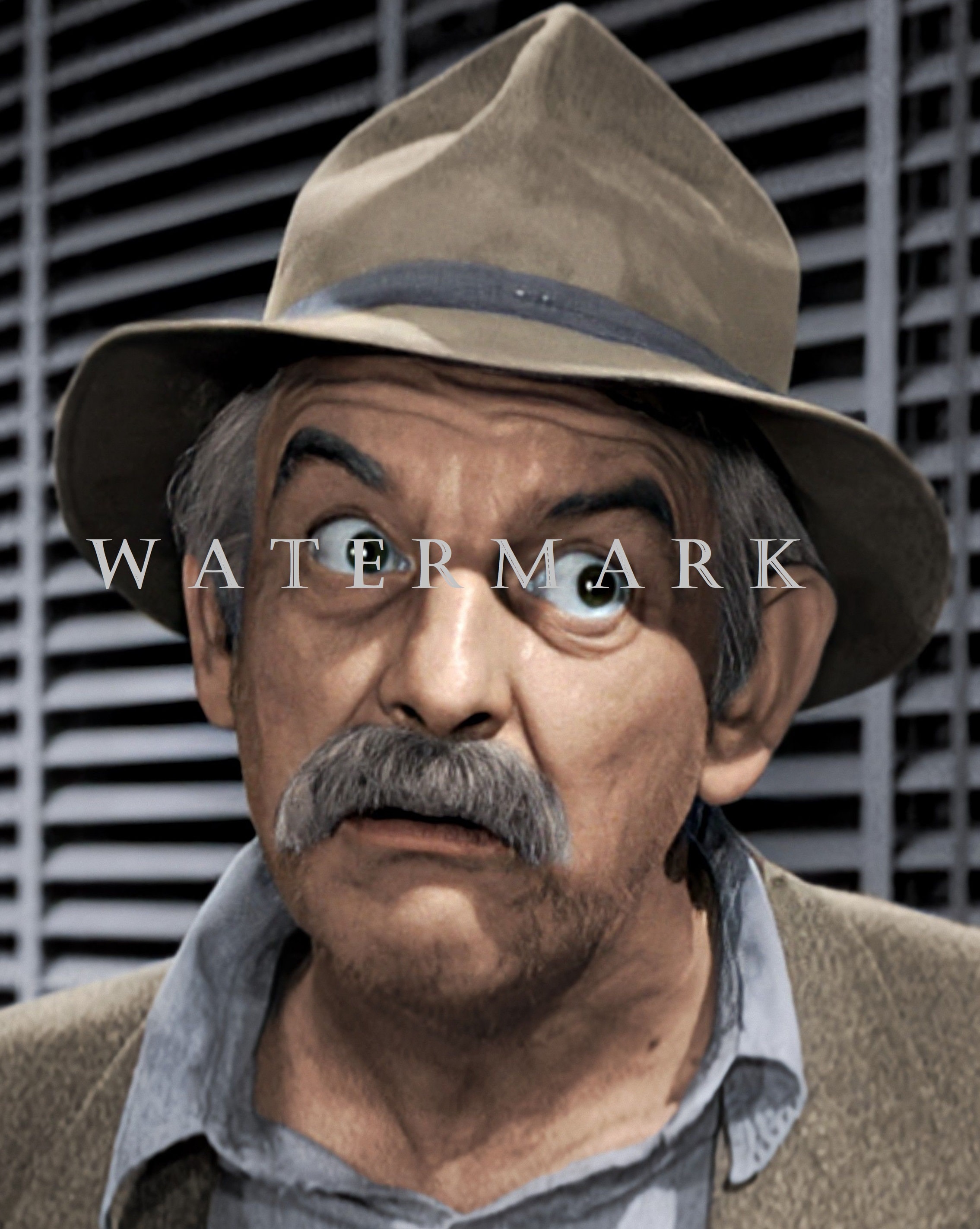 The Andy Griffith Show DIGITAL DOWNLOAD Custom COLORIZED Digital Photo ...