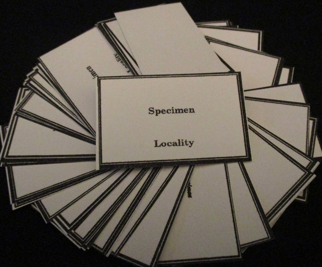 50 - White Specimen Identification Labels 10800x - Etsy