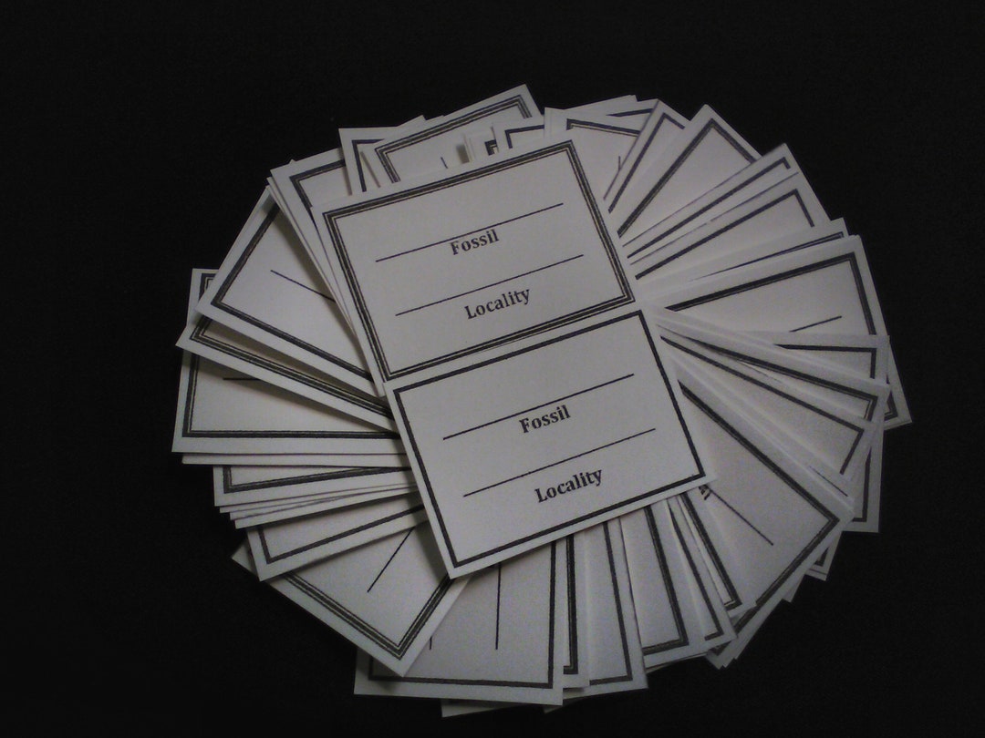 50 - White Fossil Identification Labels 2580x - Etsy