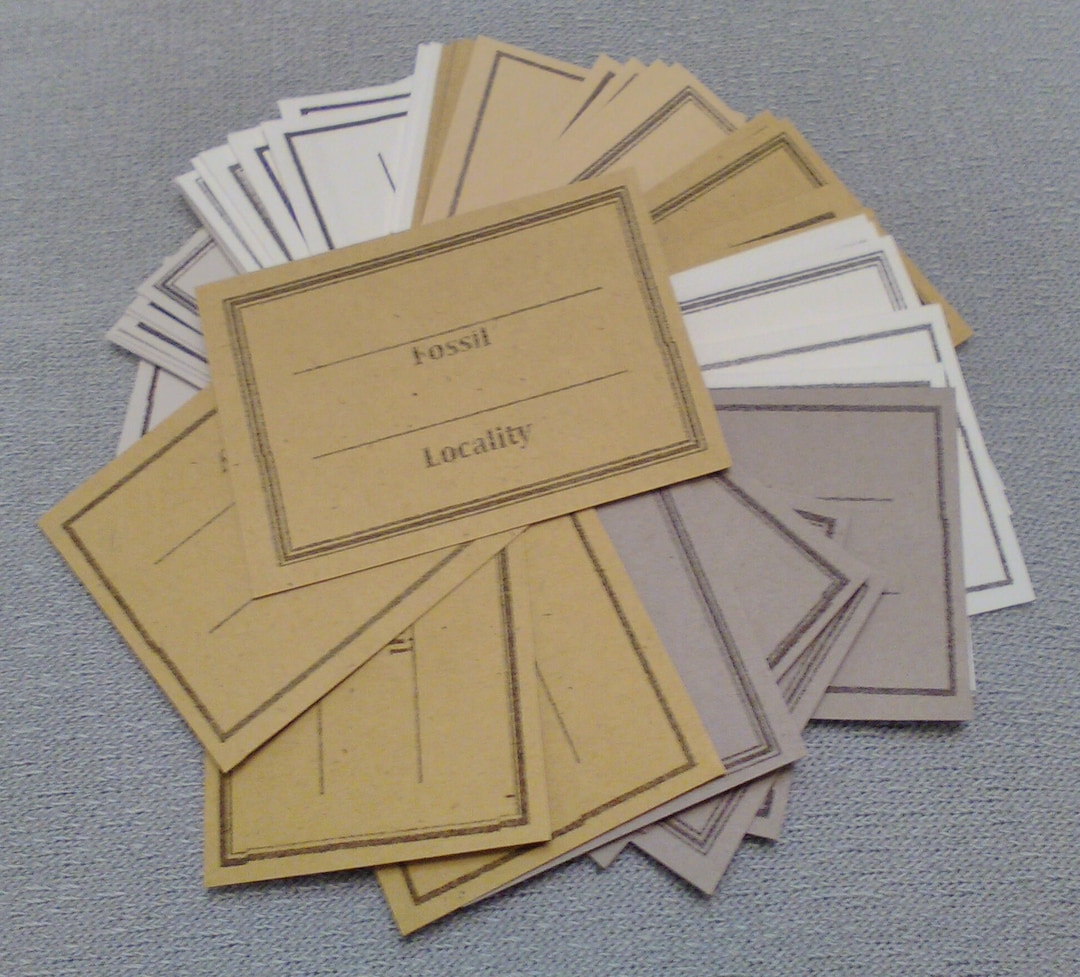 50 - Fossil Identification Labels 3300x - Etsy