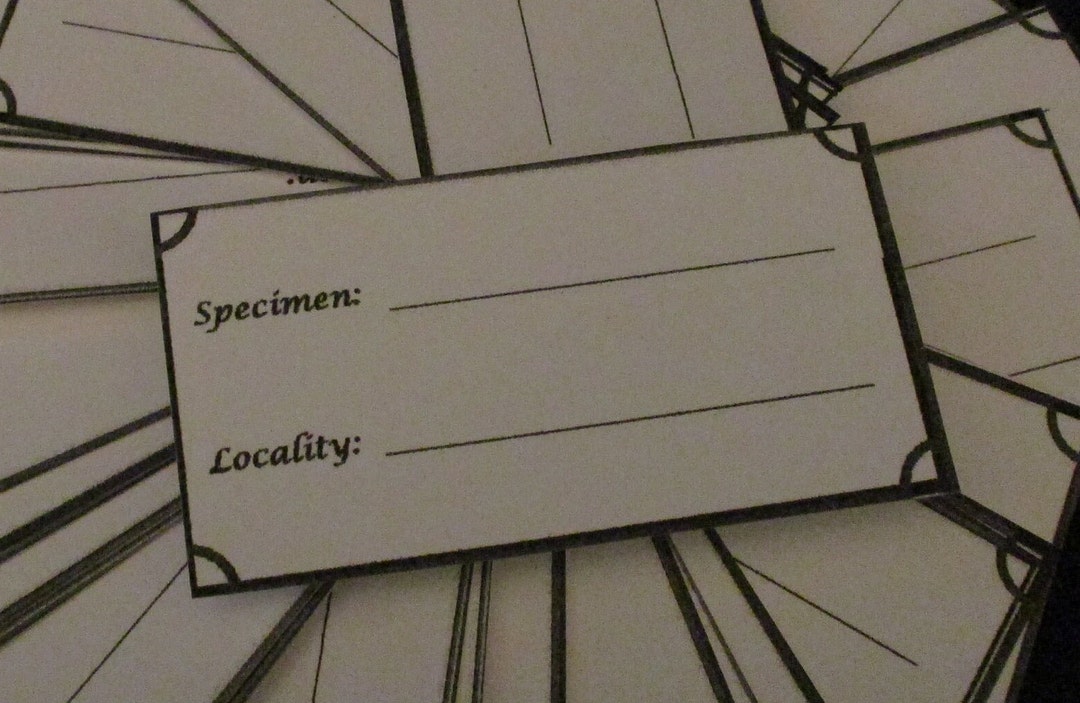 50 Specimen Identification Label 10890x - Etsy