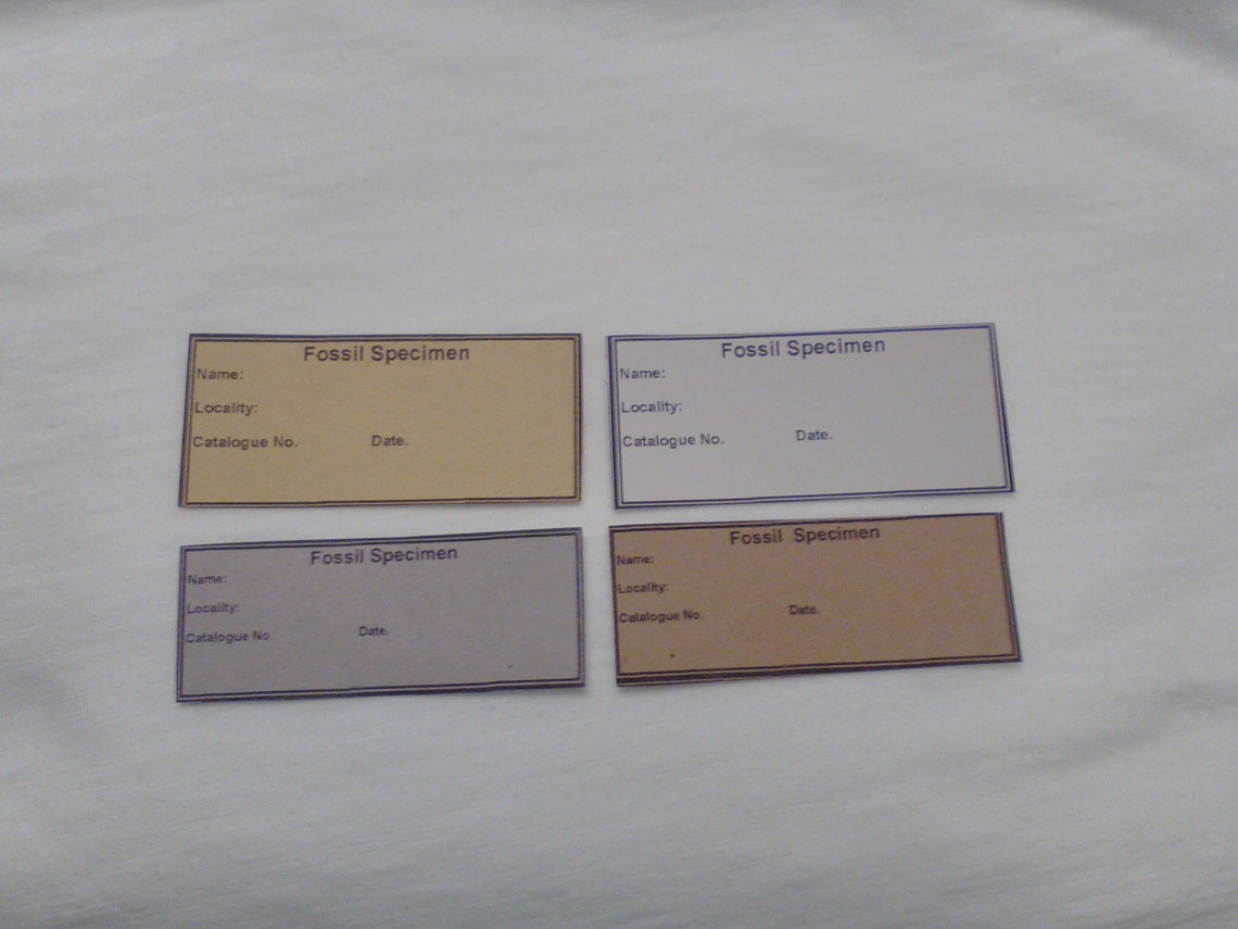 50 Assorted Fossil Identification Labels 436x - Etsy