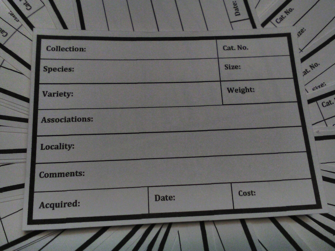 50 - Specimen Catalog Cards 3017x - Etsy