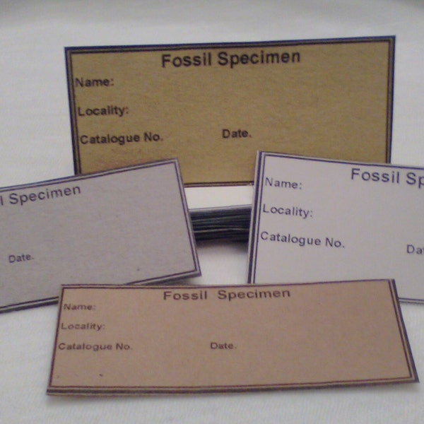 Fossil - Etsy
