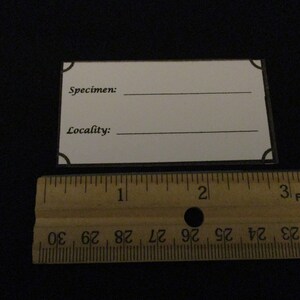 50 Specimen Identification Label 10890x - Etsy