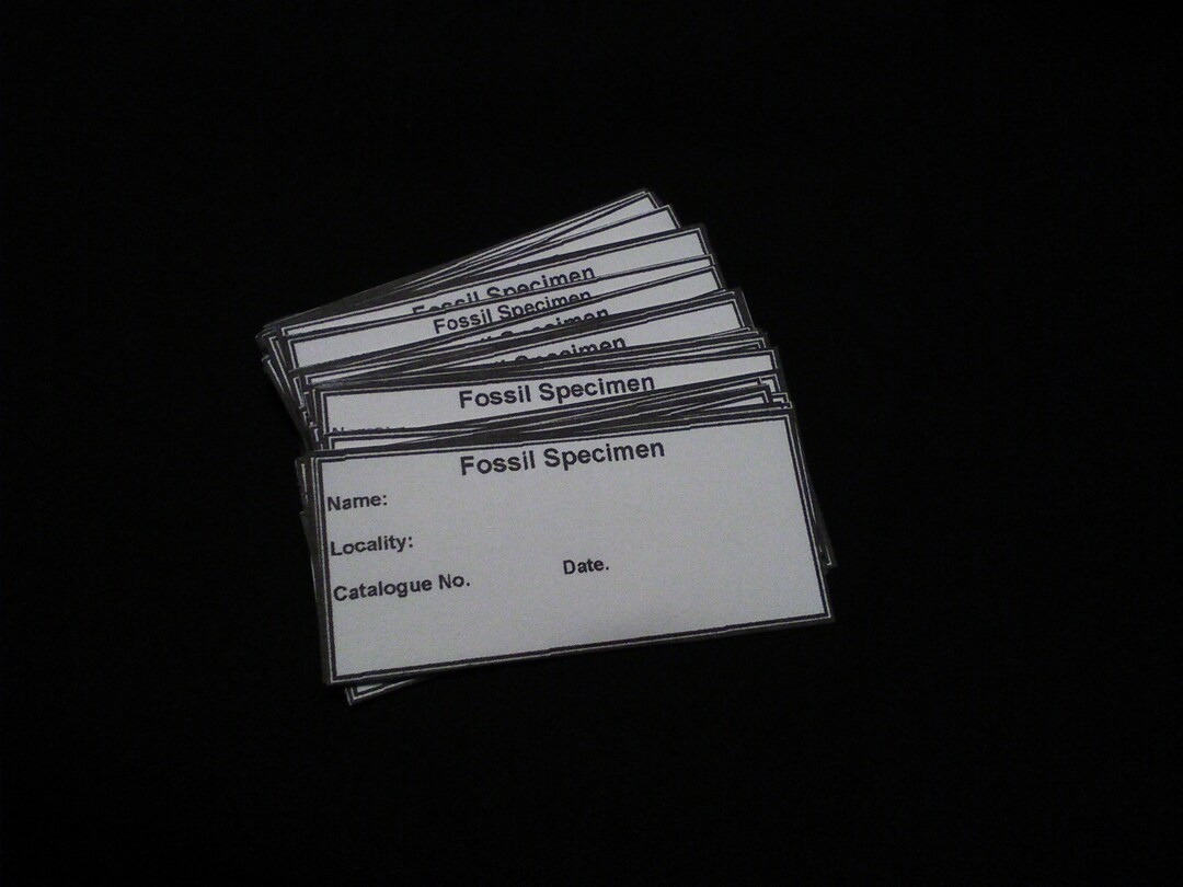 50 - Fossil Identification Labels - 359x - Etsy