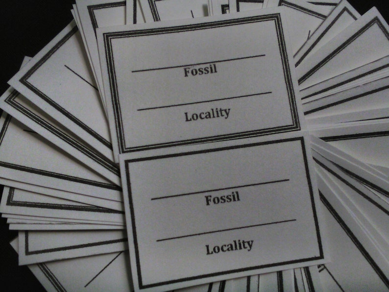 50 - White Fossil Identification Labels 2580x - Etsy