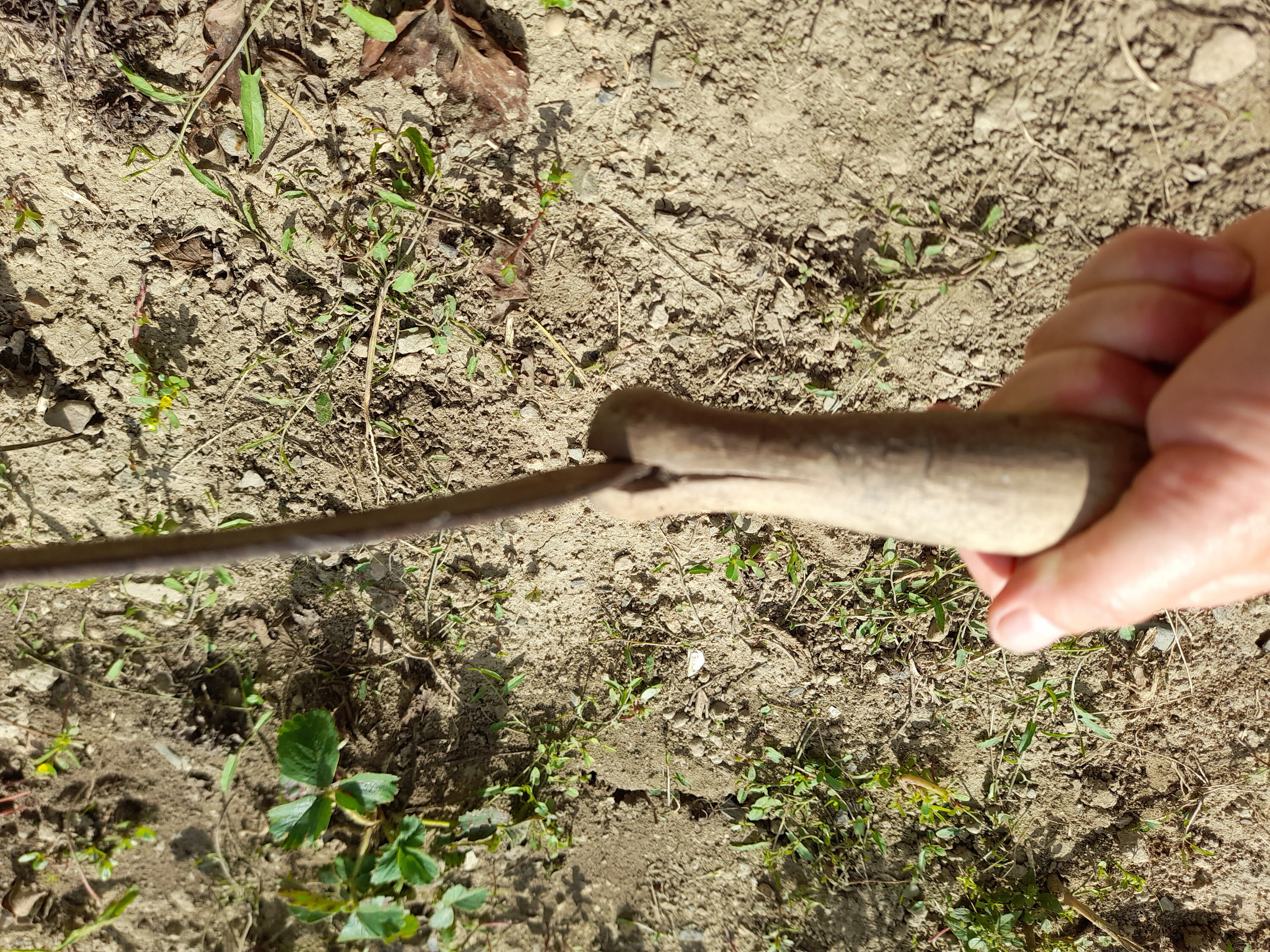 Antique Sickle / Primitive Cutter Wood Handle / Rustic Sickle - Etsy