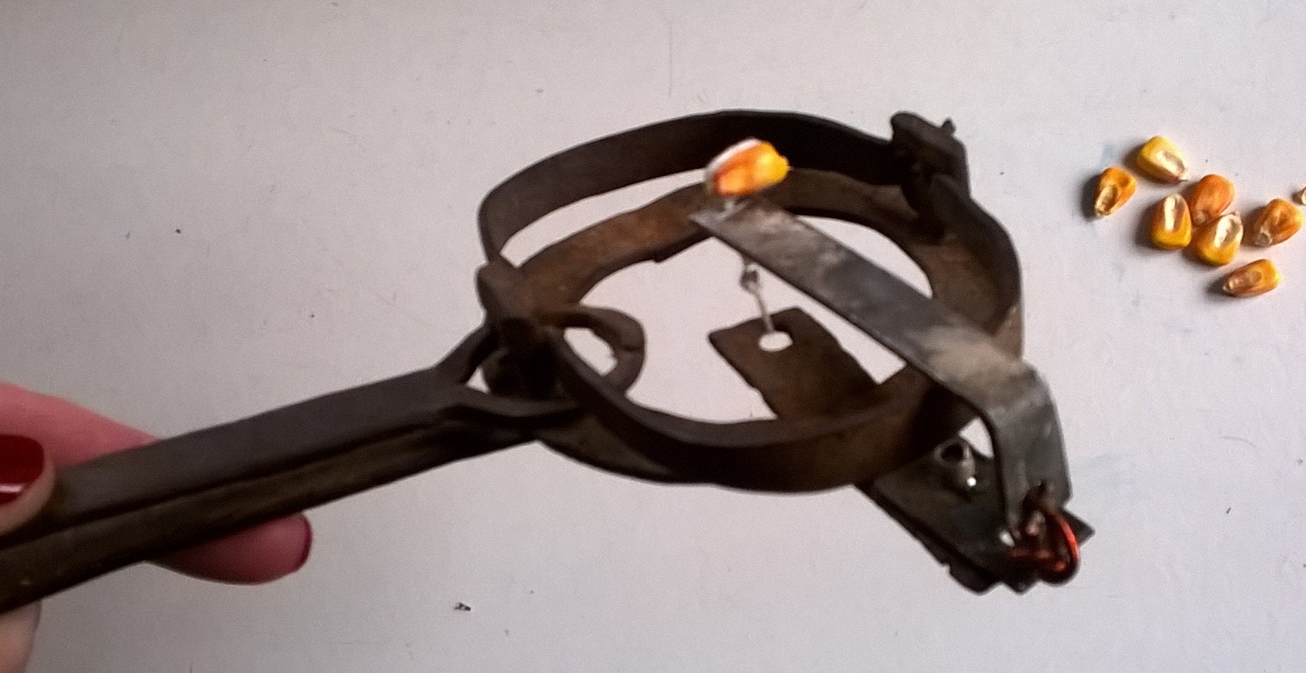 Antique Rusty Animal Trap/vintage Hunting Lodge/fireplace Man Cave ...